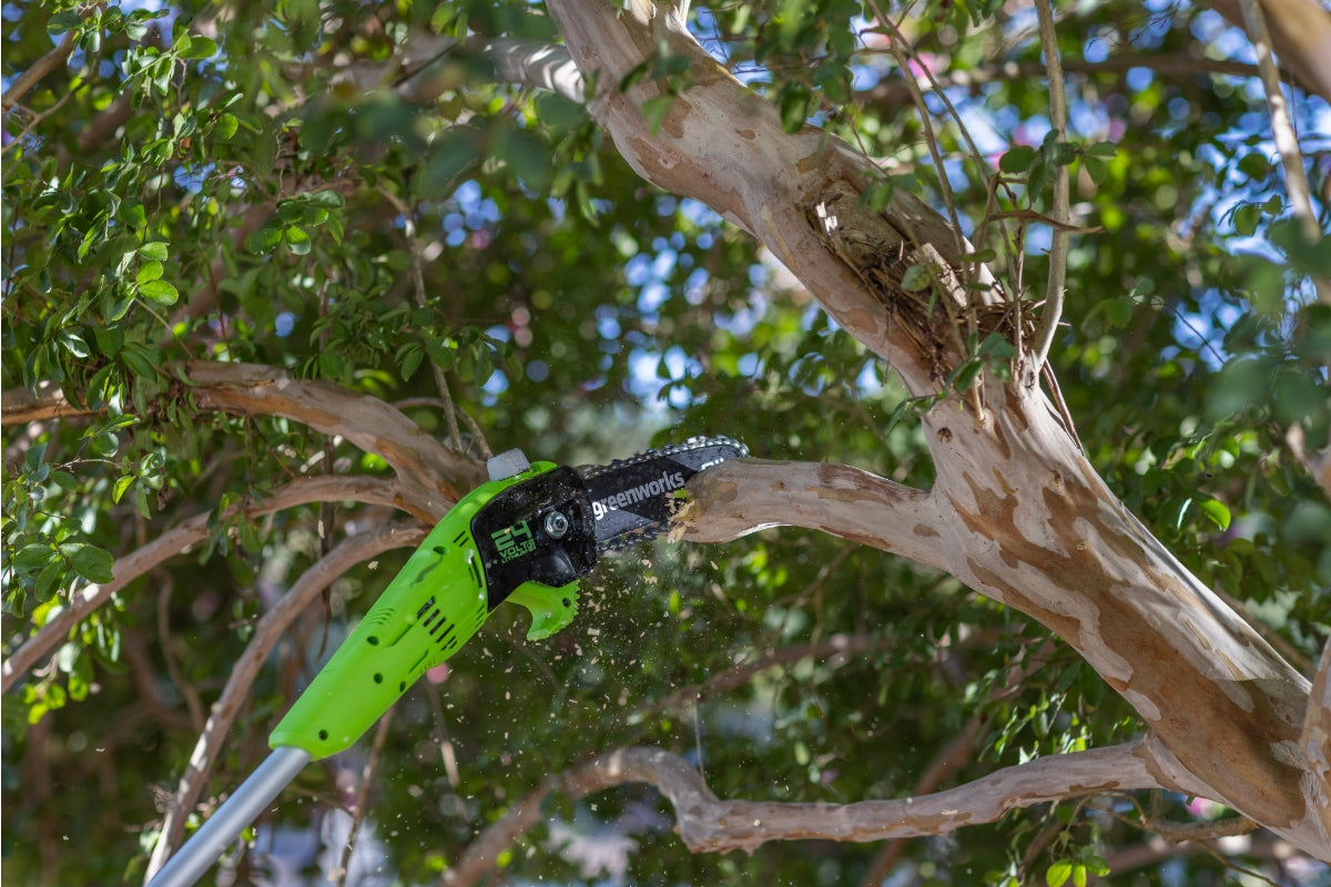 Cutting Back for a Healthier Yard: Fall Pole Saw Tips – Greenworks ...