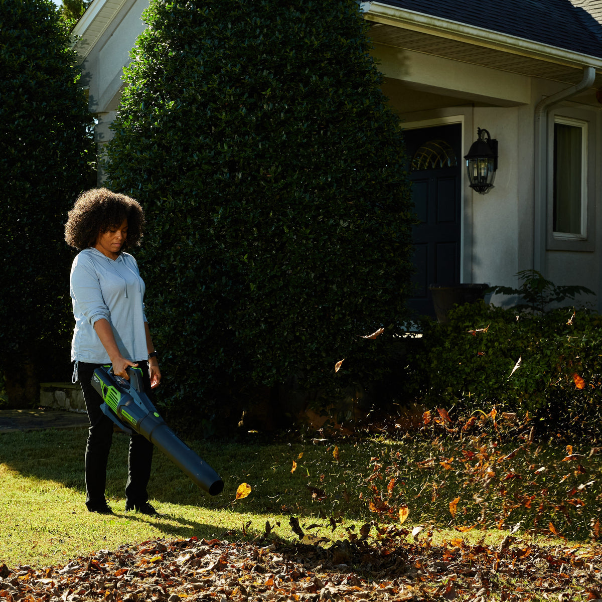 Best Battery Leaf Blower for Fall Cleanup 2025 | Greenworks Canada ...