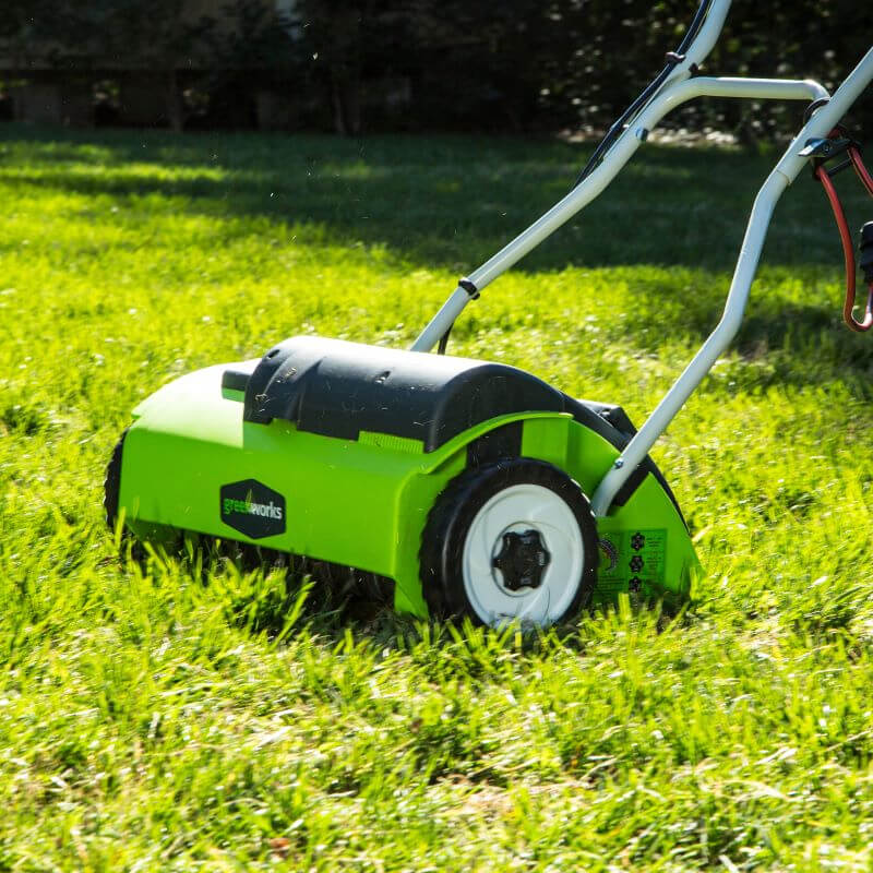 Corded Dethatcher – Greenworks Tools Canada Inc.
